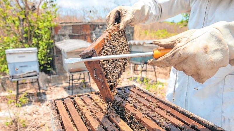 Manutenção de tarifas dos EUA pode gerar prejuízo de R$ 95 milhões ao ...